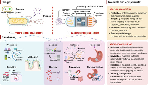 Kewang Nan Research Group